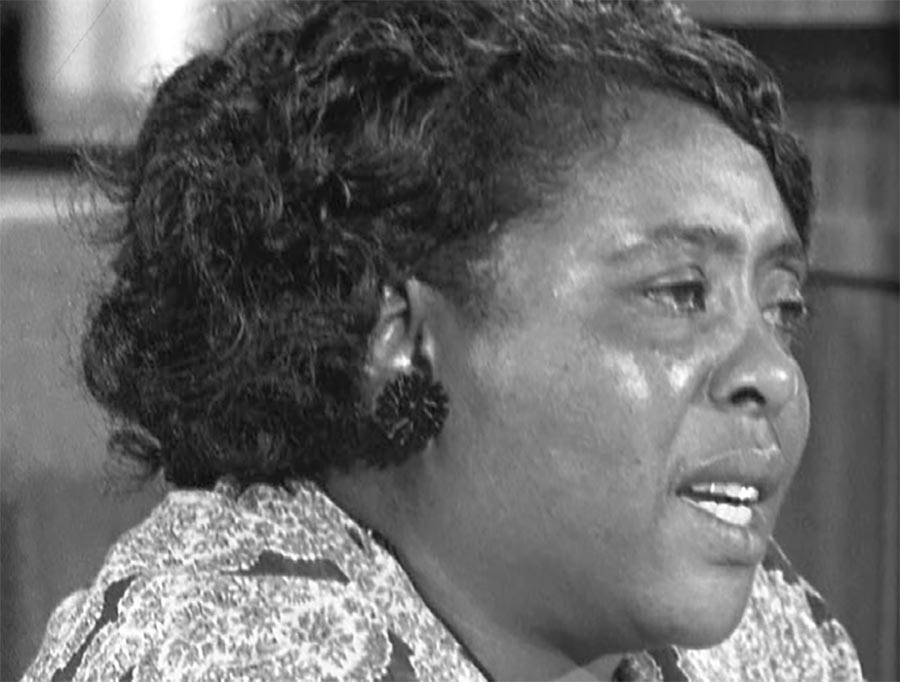 Celebrate Black History Month with a new poster highlighting Fannie Lou ...